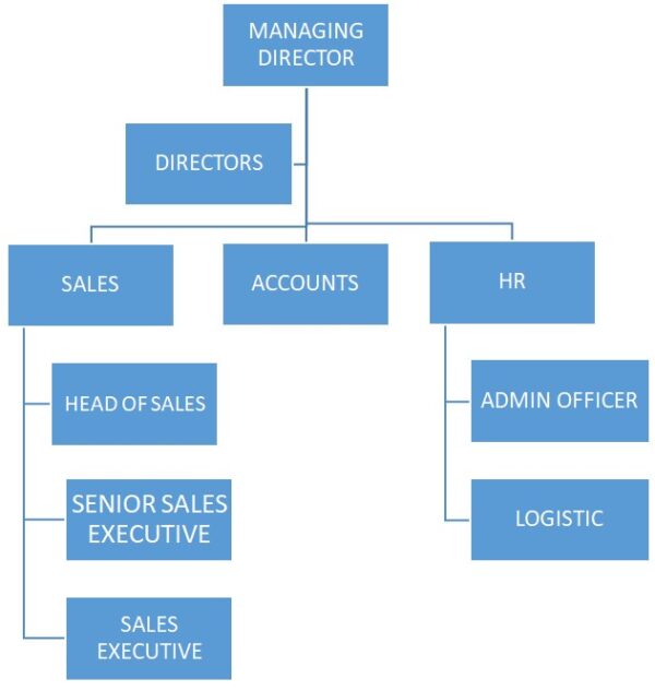 Organogram – SH MeD CORPORATION